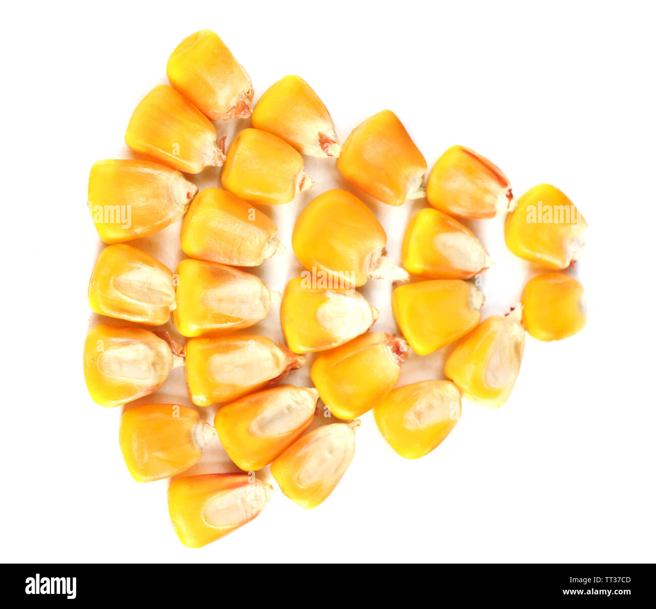 Corn seeds isolated on white Stock Photo - Alamy