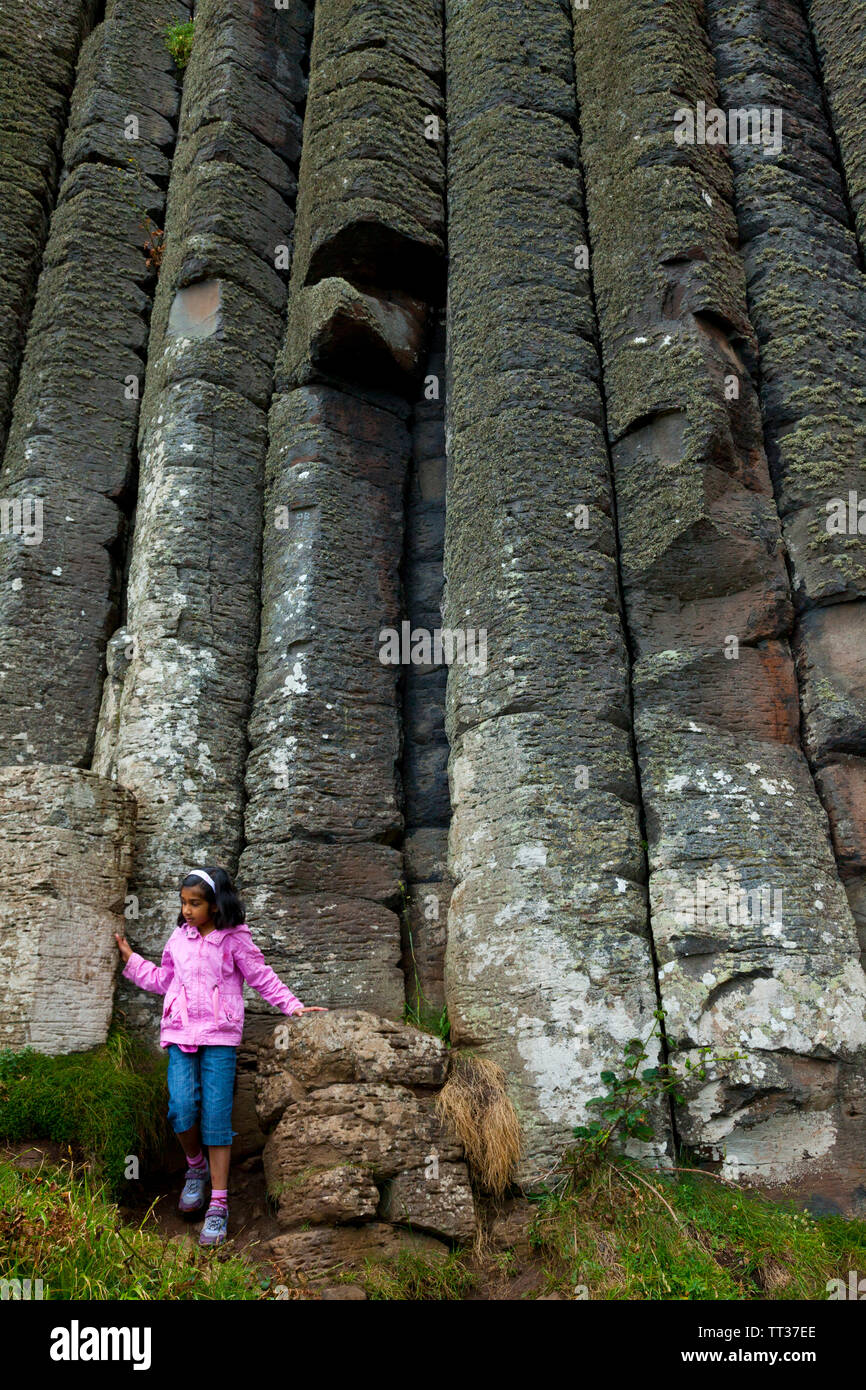 Organ pipes giants causeway hi-res stock photography and images - Alamy