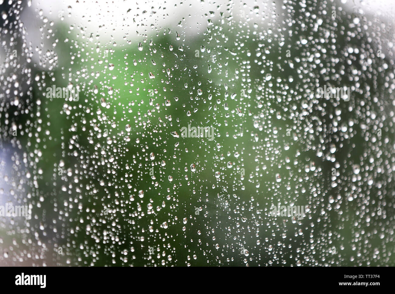 Rain water drops on window glass Stock Photo - Alamy