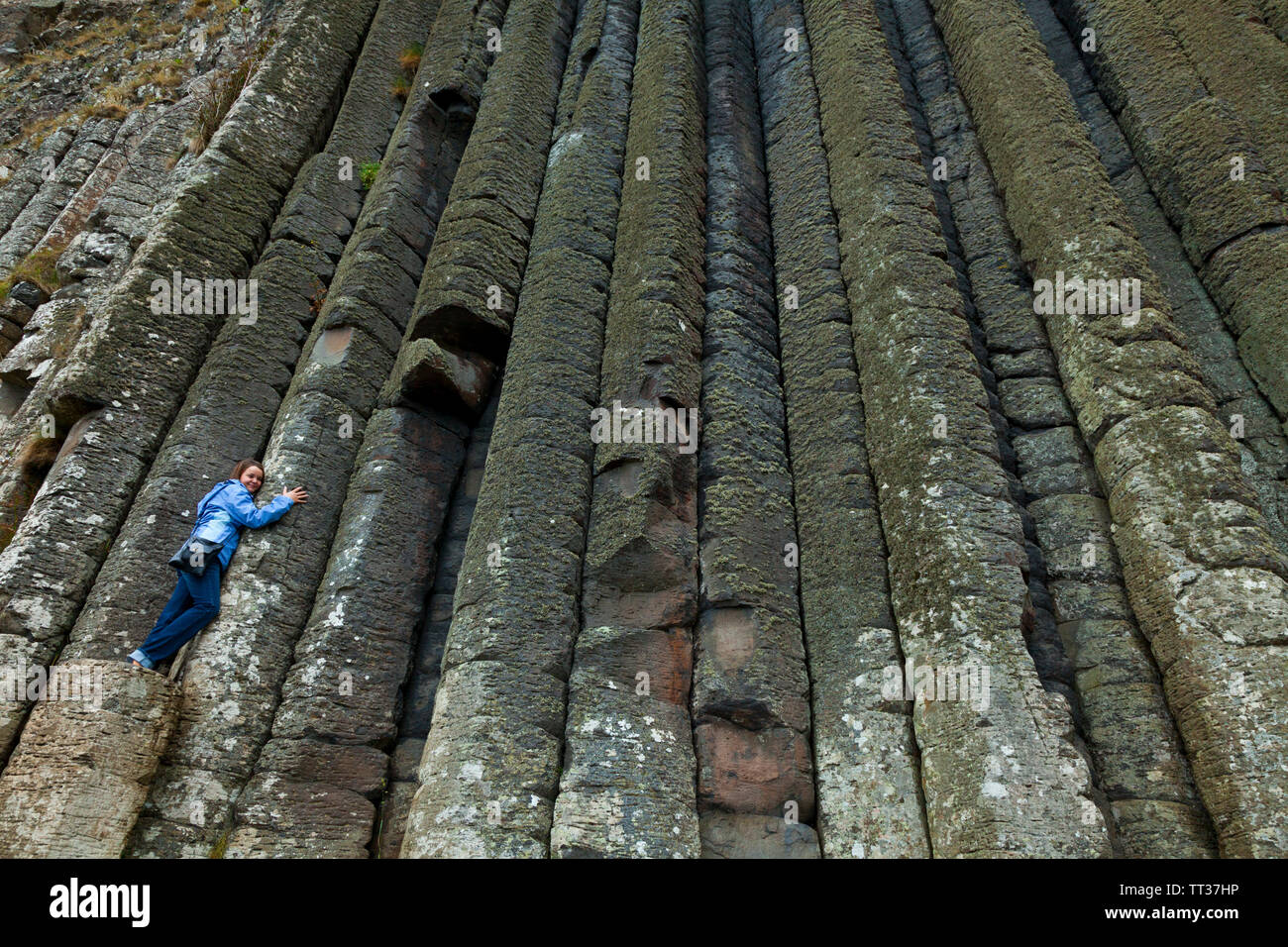 Organ Pipes Basalt Columns. The Giant's Causeway. World Heritage Site ...