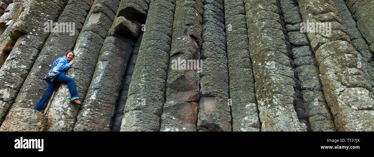 Organ Pipes Basalt Columns. The Giant's Causeway. World Heritage Site ...