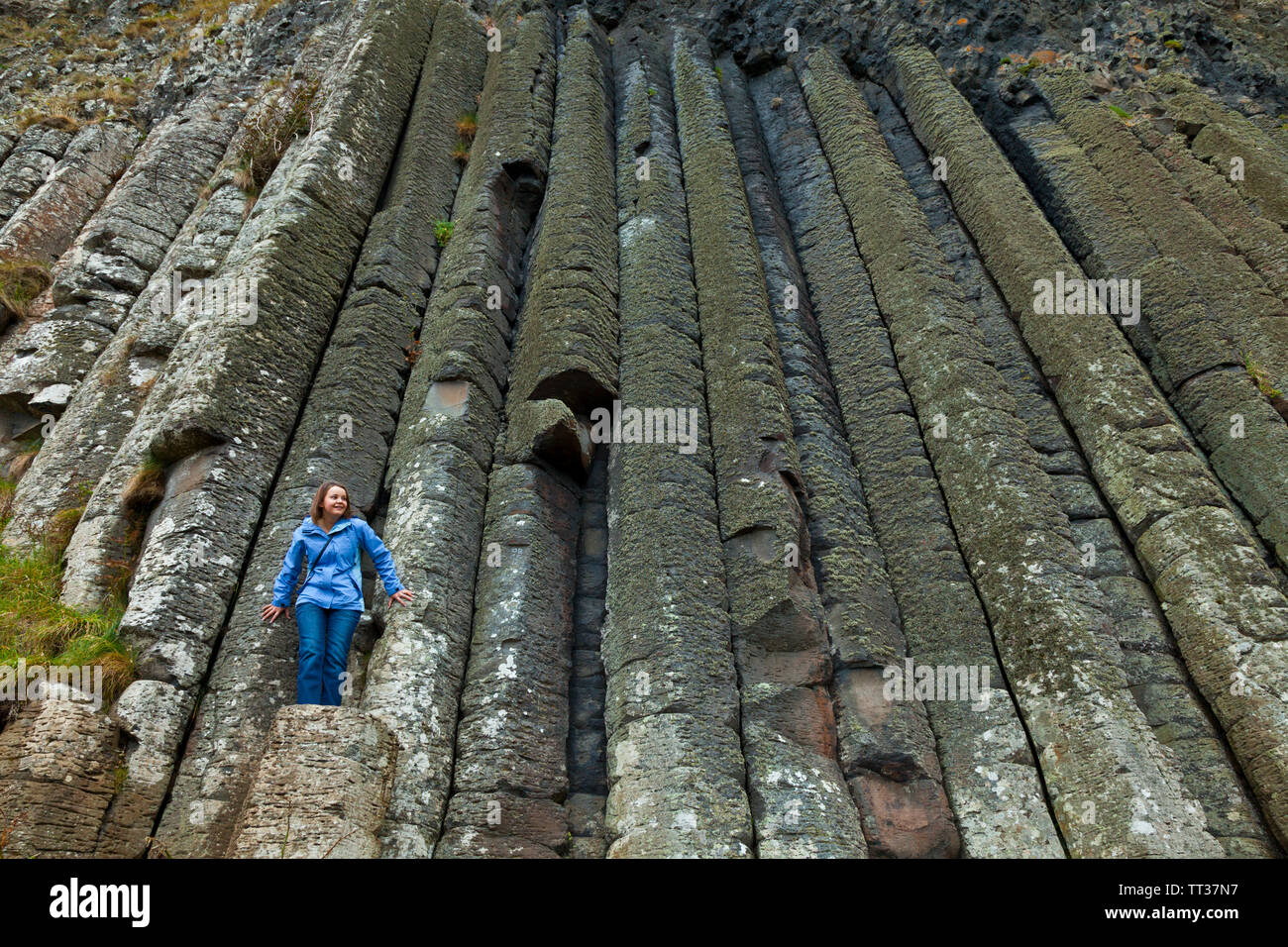 Organ Pipes Basalt Columns. The Giant's Causeway. World Heritage Site ...