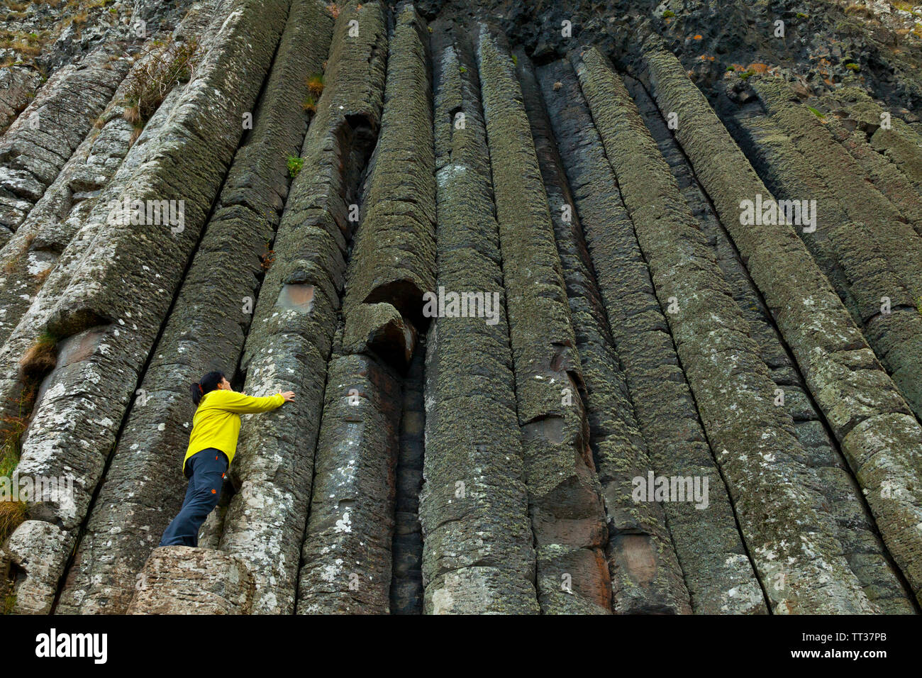 Organ Pipes Basalt Columns. The Giant's Causeway. World Heritage Site ...