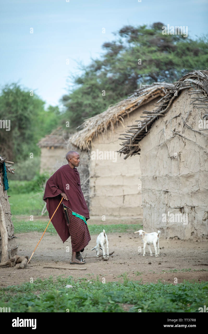 Same, Tanzania, 4th June, 2019: Maasai man restring outside his home ...