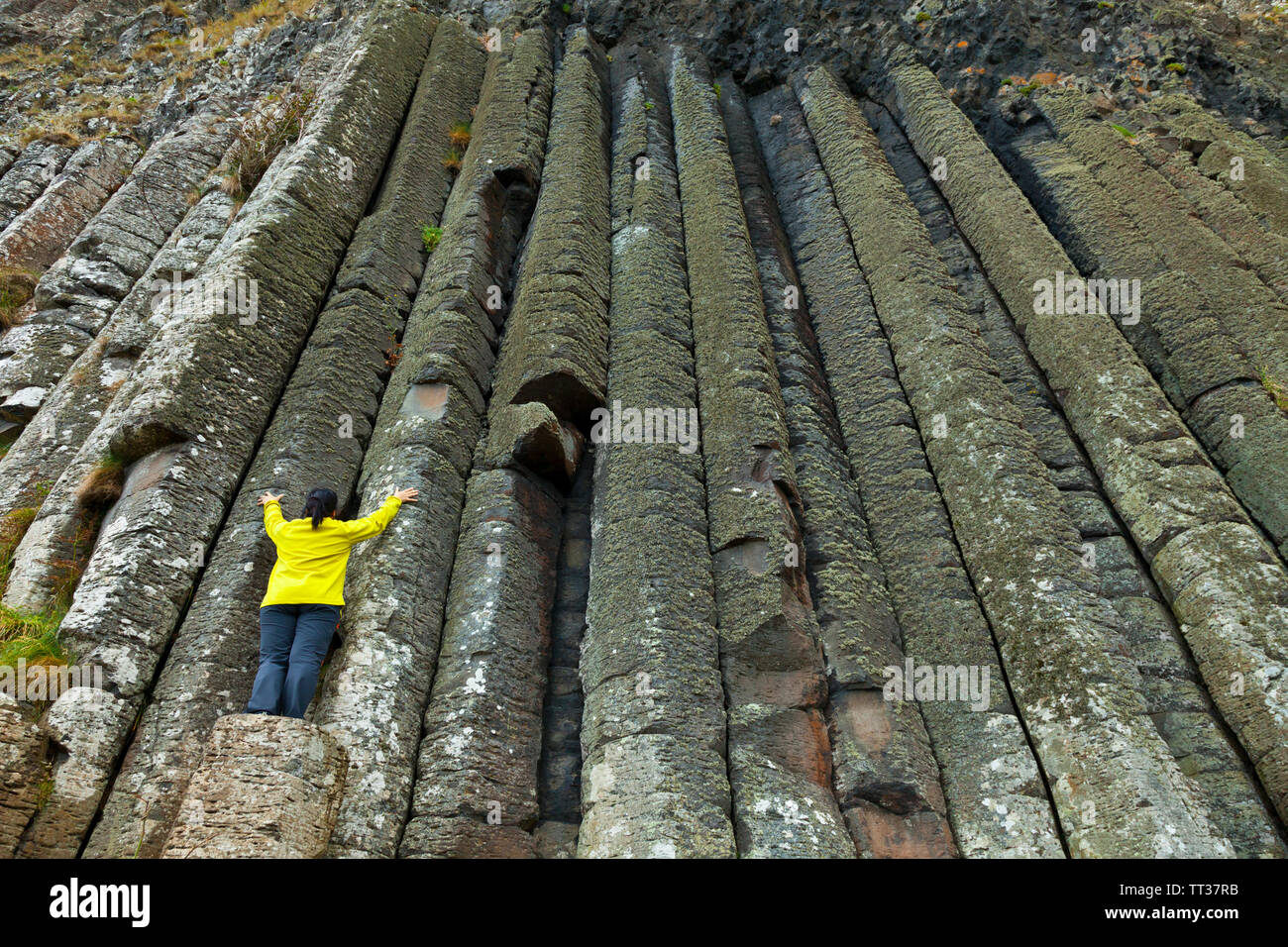 Organ Pipes Basalt Columns. The Giant's Causeway. World Heritage Site ...