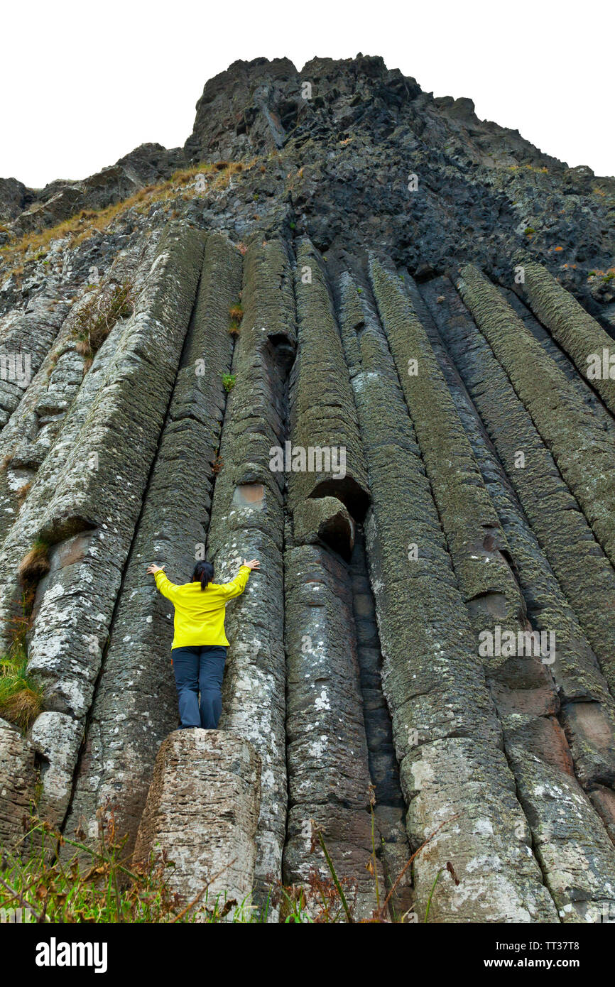 Organ Pipes Basalt Columns. The Giant's Causeway. World Heritage Site ...
