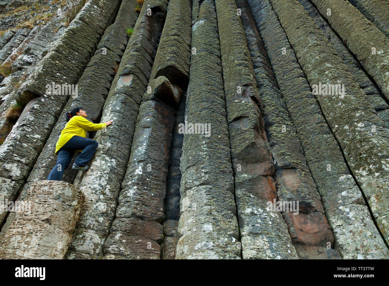Organ Pipes Basalt Columns. The Giant's Causeway. World Heritage Site ...