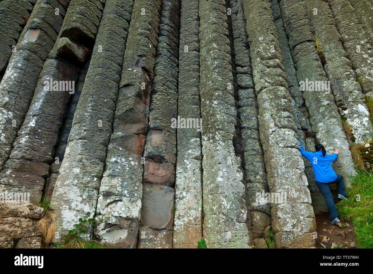 Organ pipes giants causeway hi-res stock photography and images - Alamy