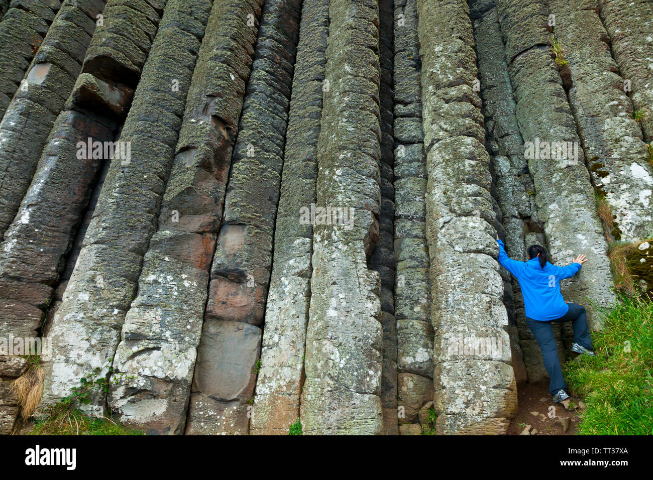 Organ Pipes Basalt Columns. The Giant's Causeway. World Heritage Site ...