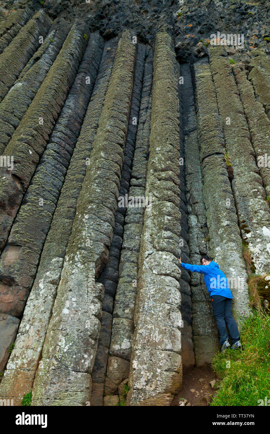 Organ Pipes Basalt Columns. The Giant's Causeway. World Heritage Site ...