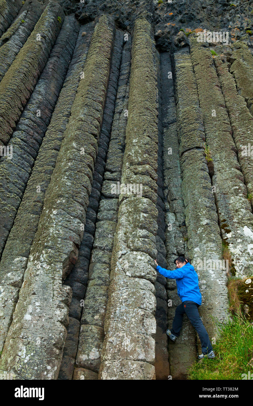Organ pipes giants causeway hi-res stock photography and images - Alamy