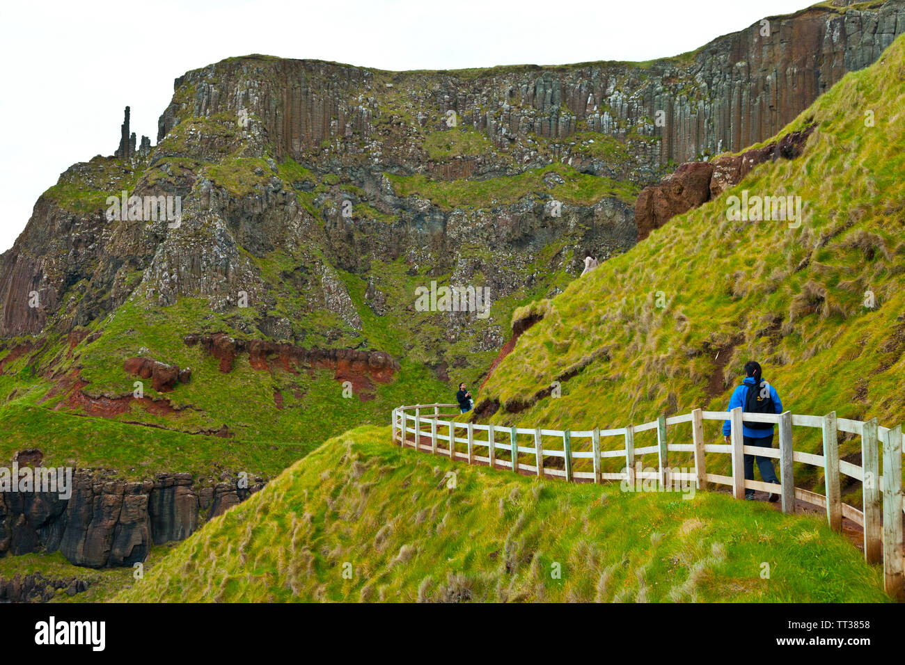 The Amphitheatre. The Giant's Causeway. World Heritage Site. Causeway ...