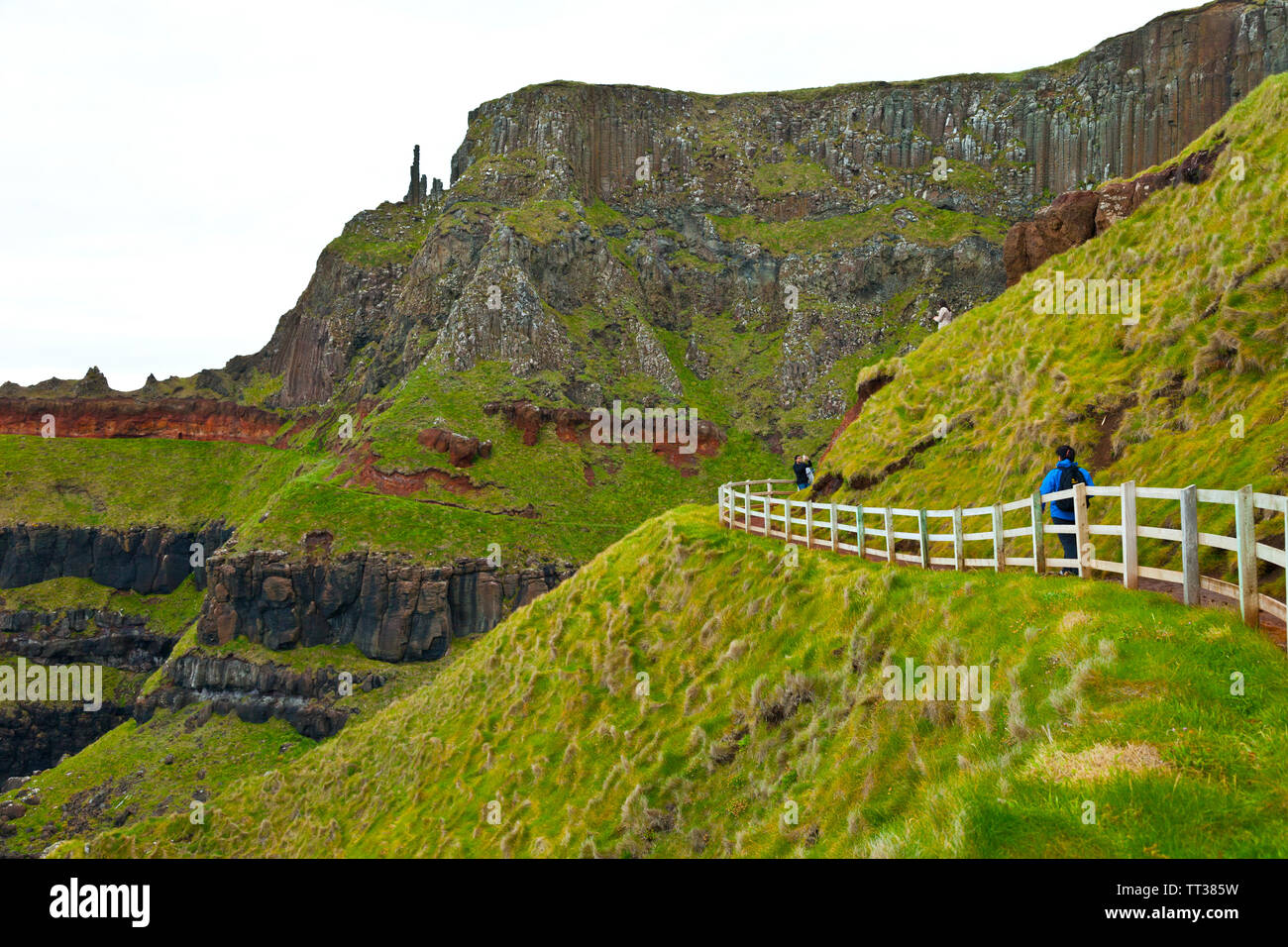 The Amphitheatre. The Giant's Causeway. World Heritage Site. Causeway ...