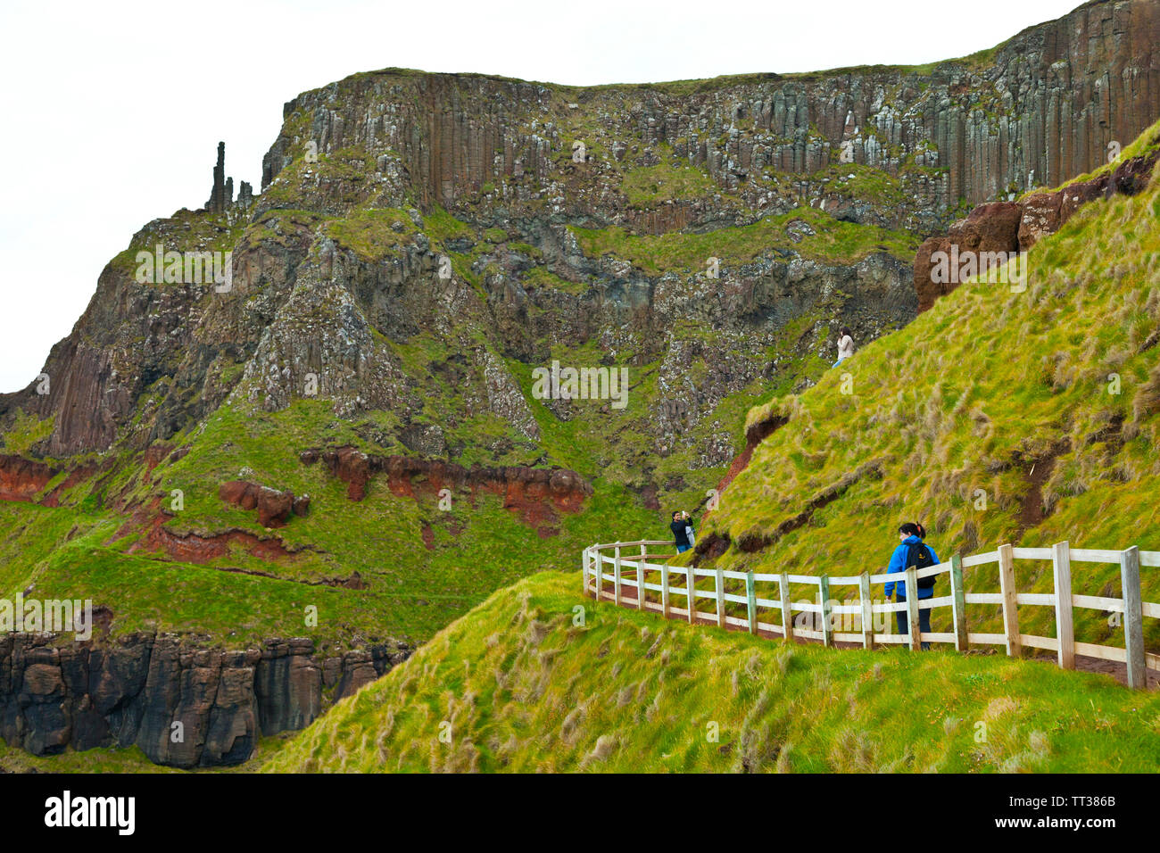 The Amphitheatre. The Giant's Causeway. World Heritage Site. Causeway ...