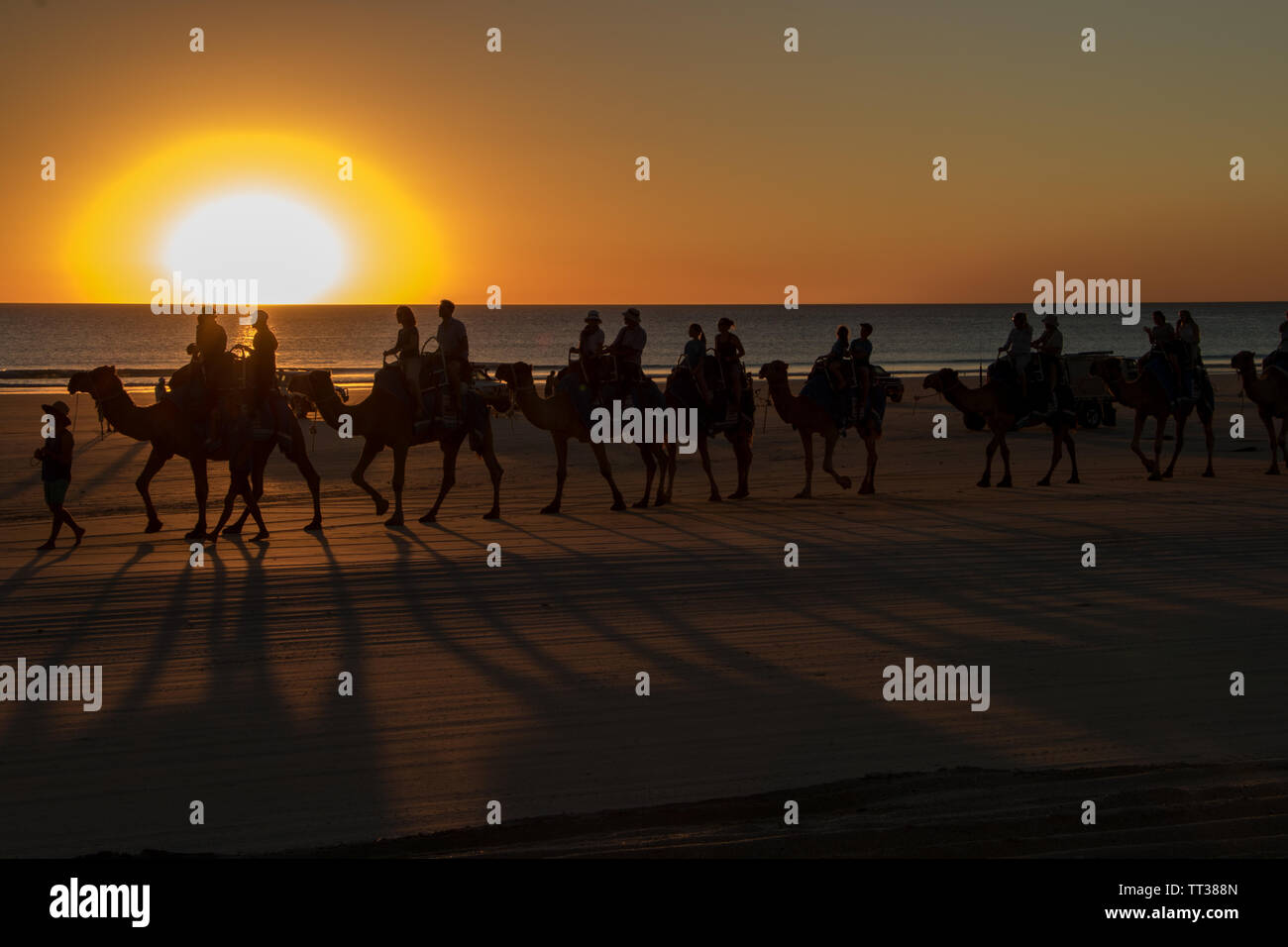 Camel ride at sunset, Cable Beach Stock Photo - Alamy