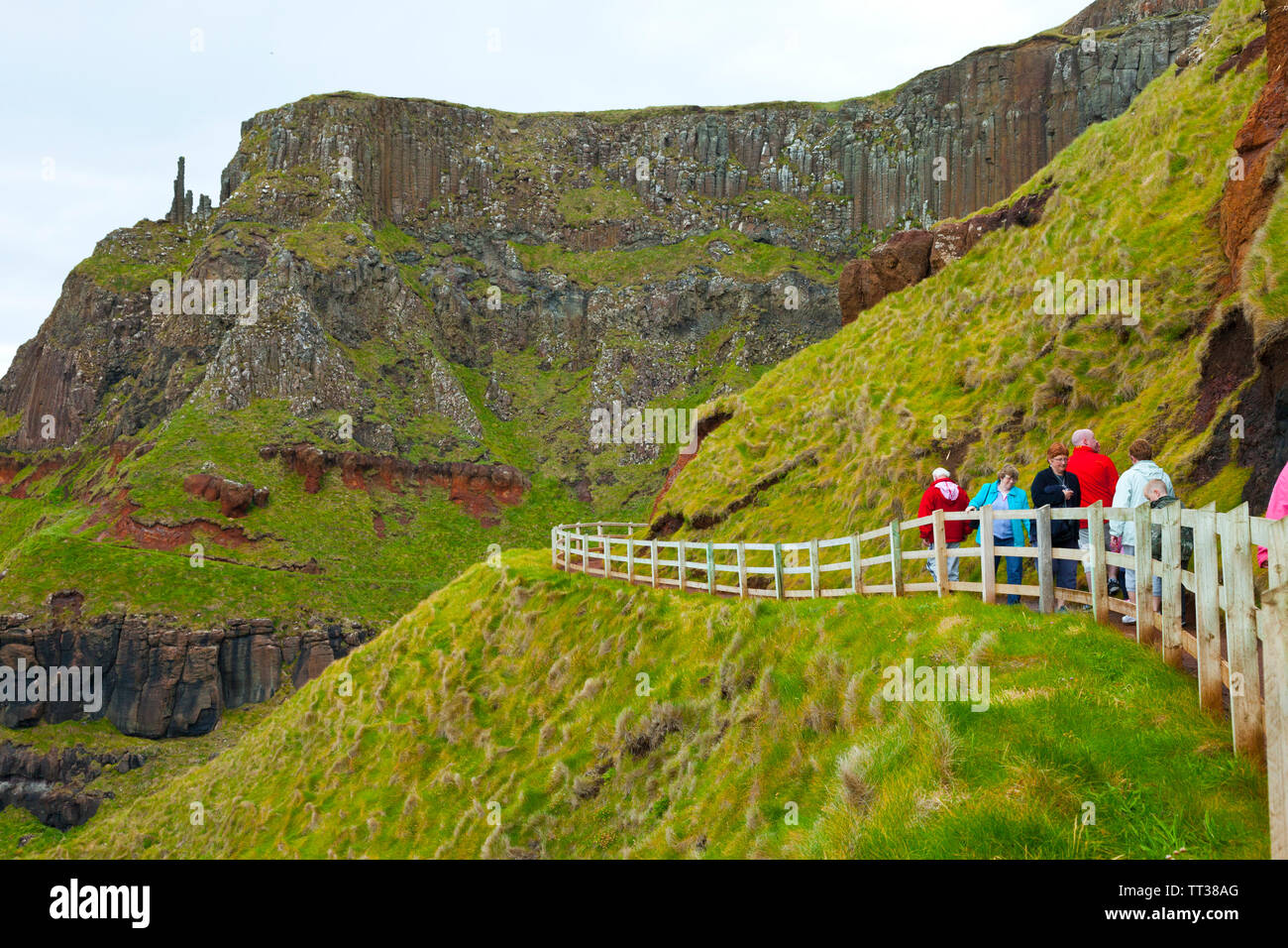 The Amphitheatre. The Giant's Causeway. World Heritage Site. Causeway ...