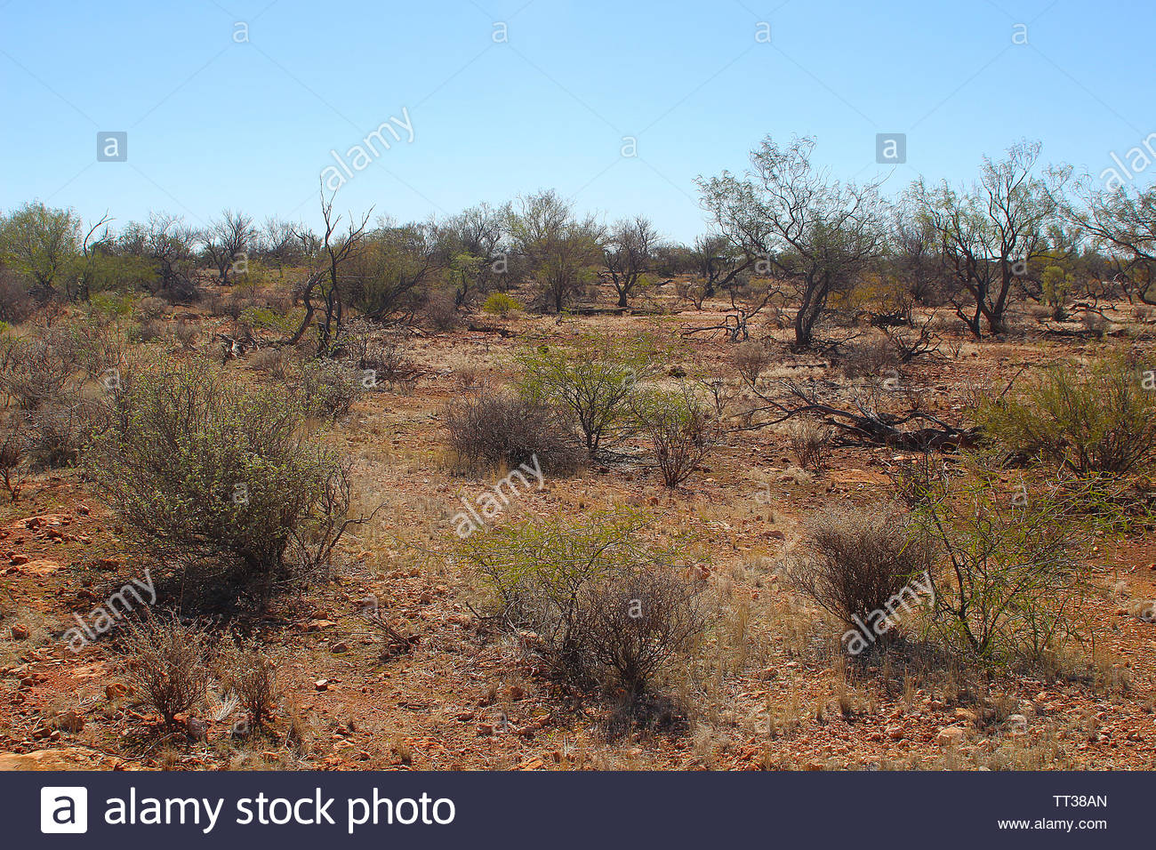 Vegetation Fires High Resolution Stock Photography and Images - Alamy