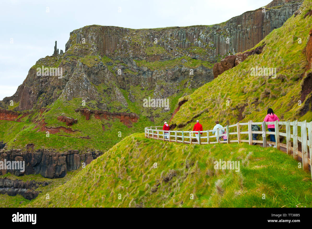 The Amphitheatre. The Giant's Causeway. World Heritage Site. Causeway ...