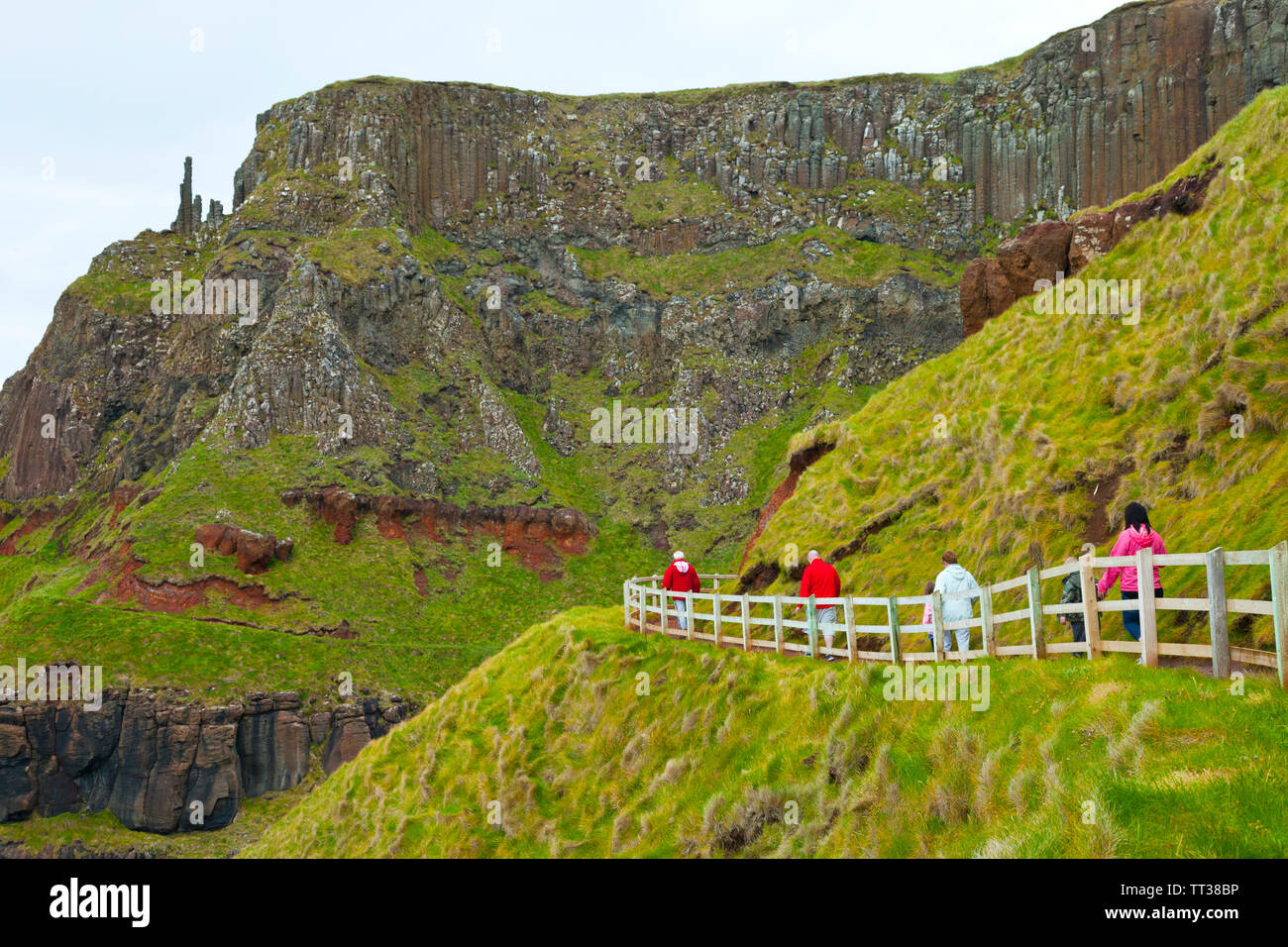 The Amphitheatre. The Giant's Causeway. World Heritage Site. Causeway ...