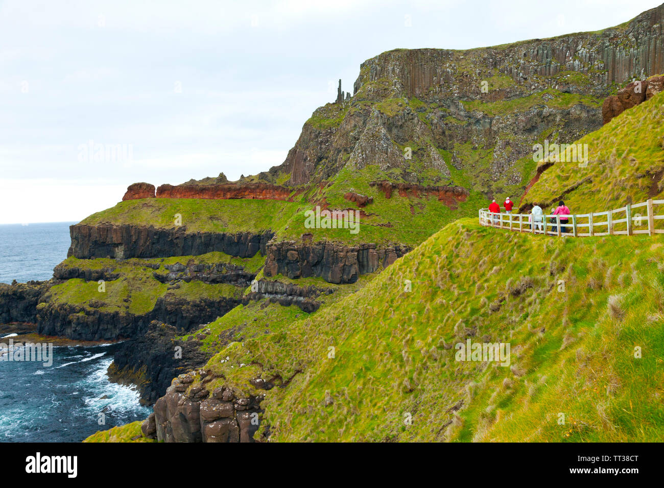 The Amphitheatre. The Giant's Causeway. World Heritage Site. Causeway ...