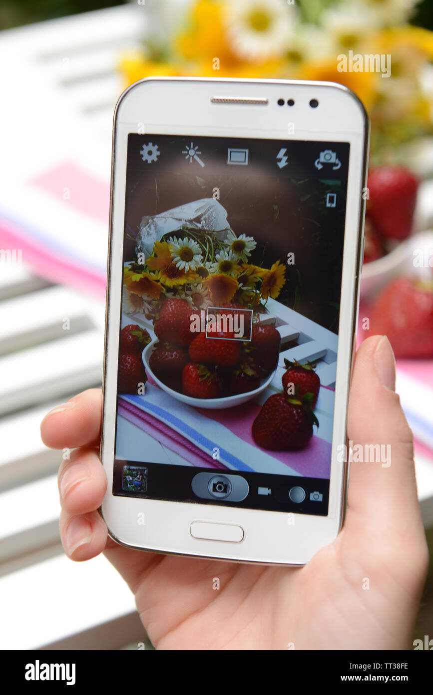 Hand making photo of strawberries on mobile phone for social network ...