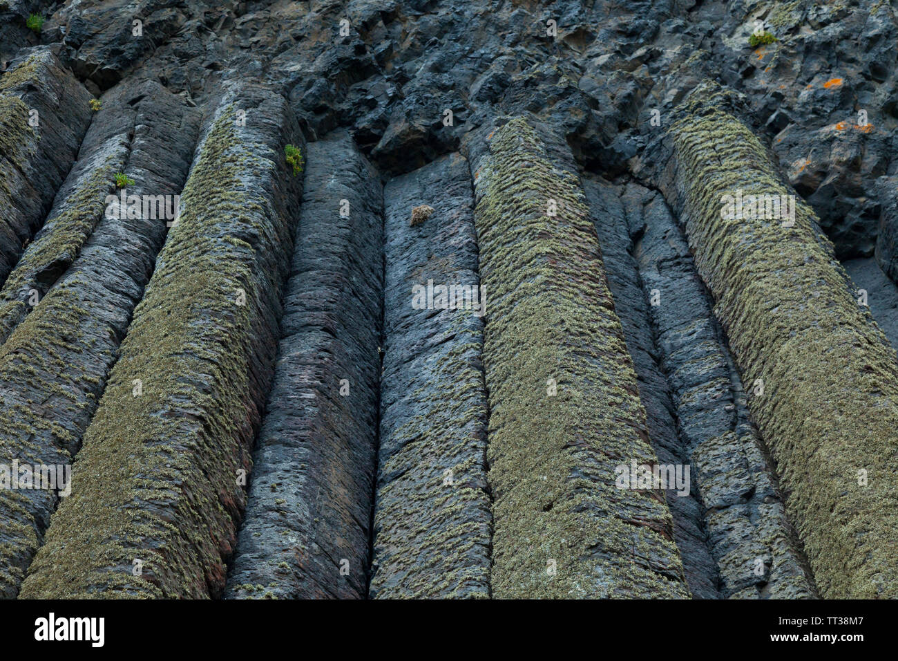 Organ Pipes Basalt Columns. The Giant's Causeway. World Heritage Site ...