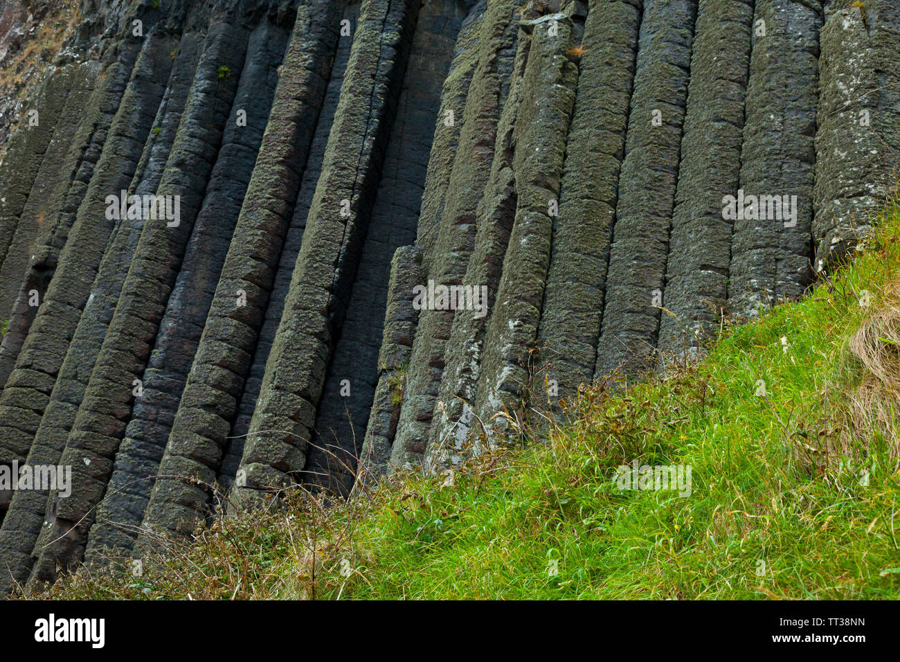 Organ Pipes Basalt Columns. The Giant's Causeway. World Heritage Site ...
