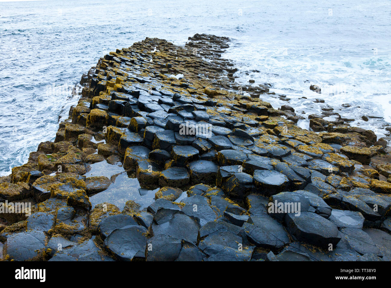 The Giant's Causeway. World Heritage Site. Causeway Coastal Route ...