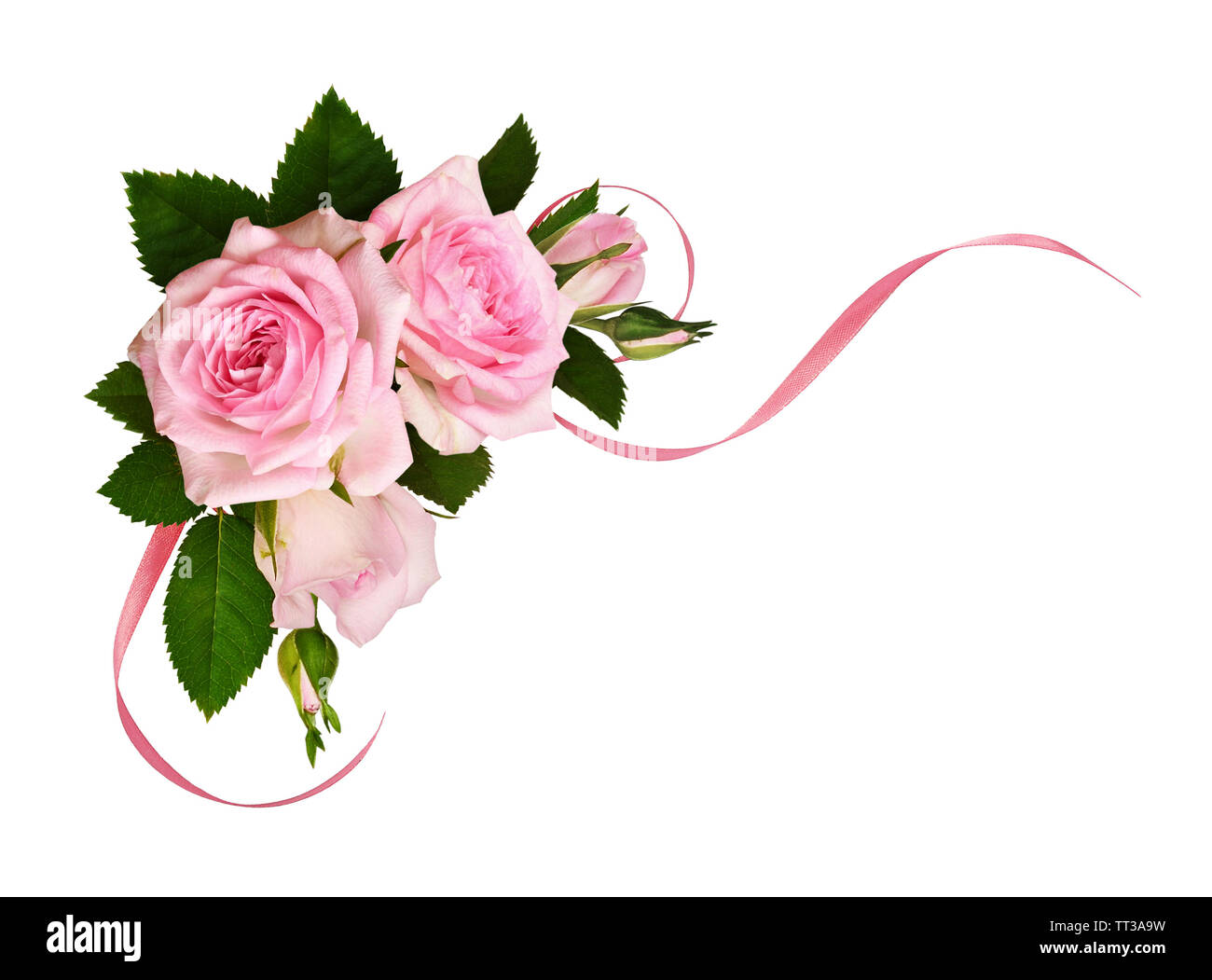 Pink rose flowers with green leavesand silk ribbons in a corner ...