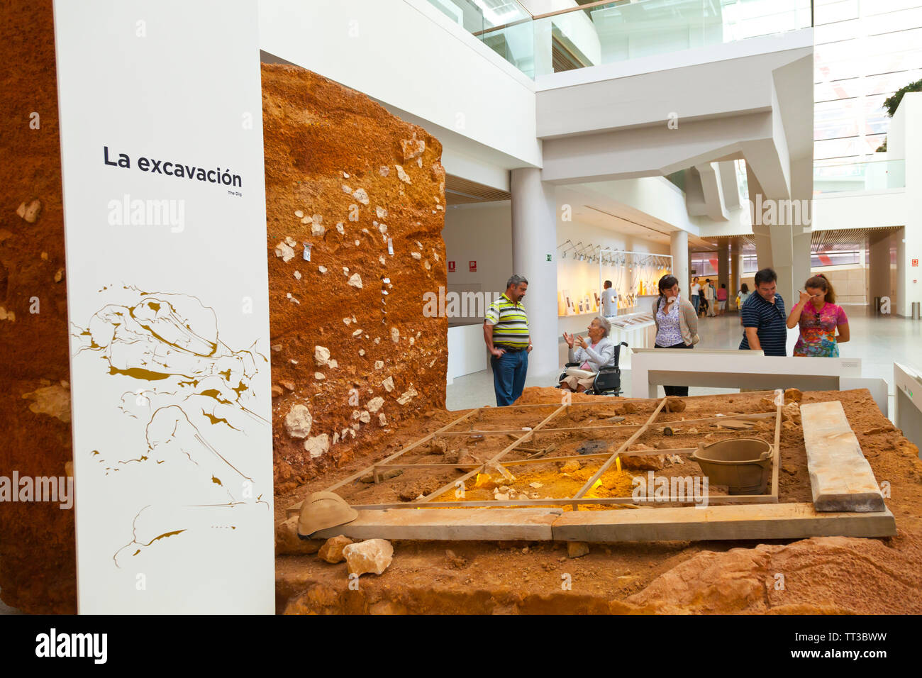 Museo de la Evolución Humana, Burgos, Castilla y León, Spain. Human ...