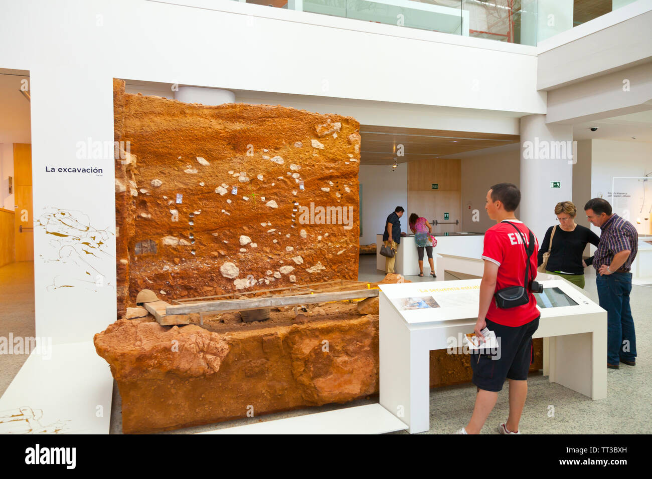 Museo de la Evolución Humana, Burgos, Castilla y León, Spain. Human ...