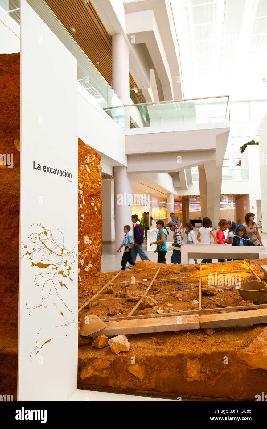 Museo de la Evolución Humana, Burgos, Castilla y León, Spain. Human ...