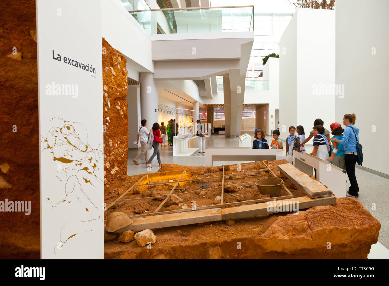 Museo de la Evolución Humana, Burgos, Castilla y León, Spain. Human ...