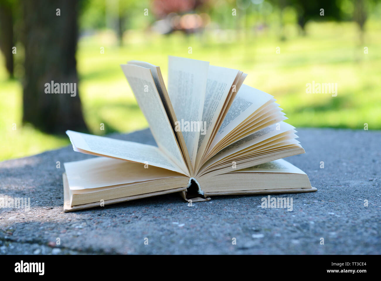 Open book in park outdoors Stock Photo - Alamy