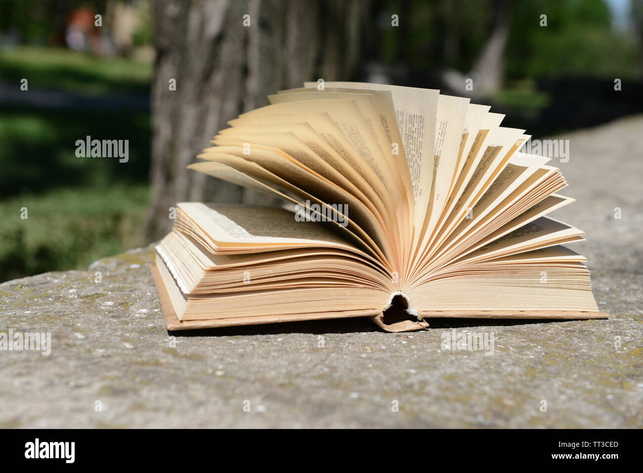 Open book in park outdoors Stock Photo - Alamy