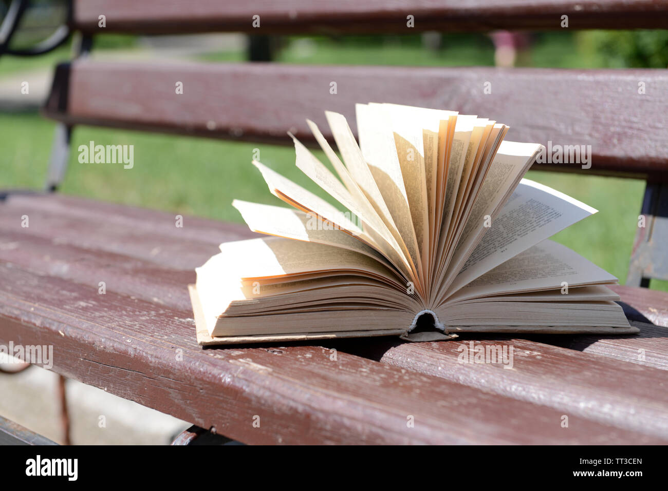 Open book on bench close-up Stock Photo - Alamy