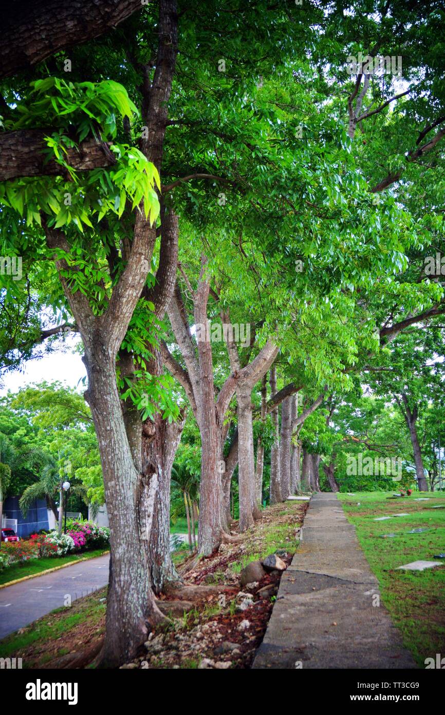 Bulua hi-res stock photography and images - Alamy