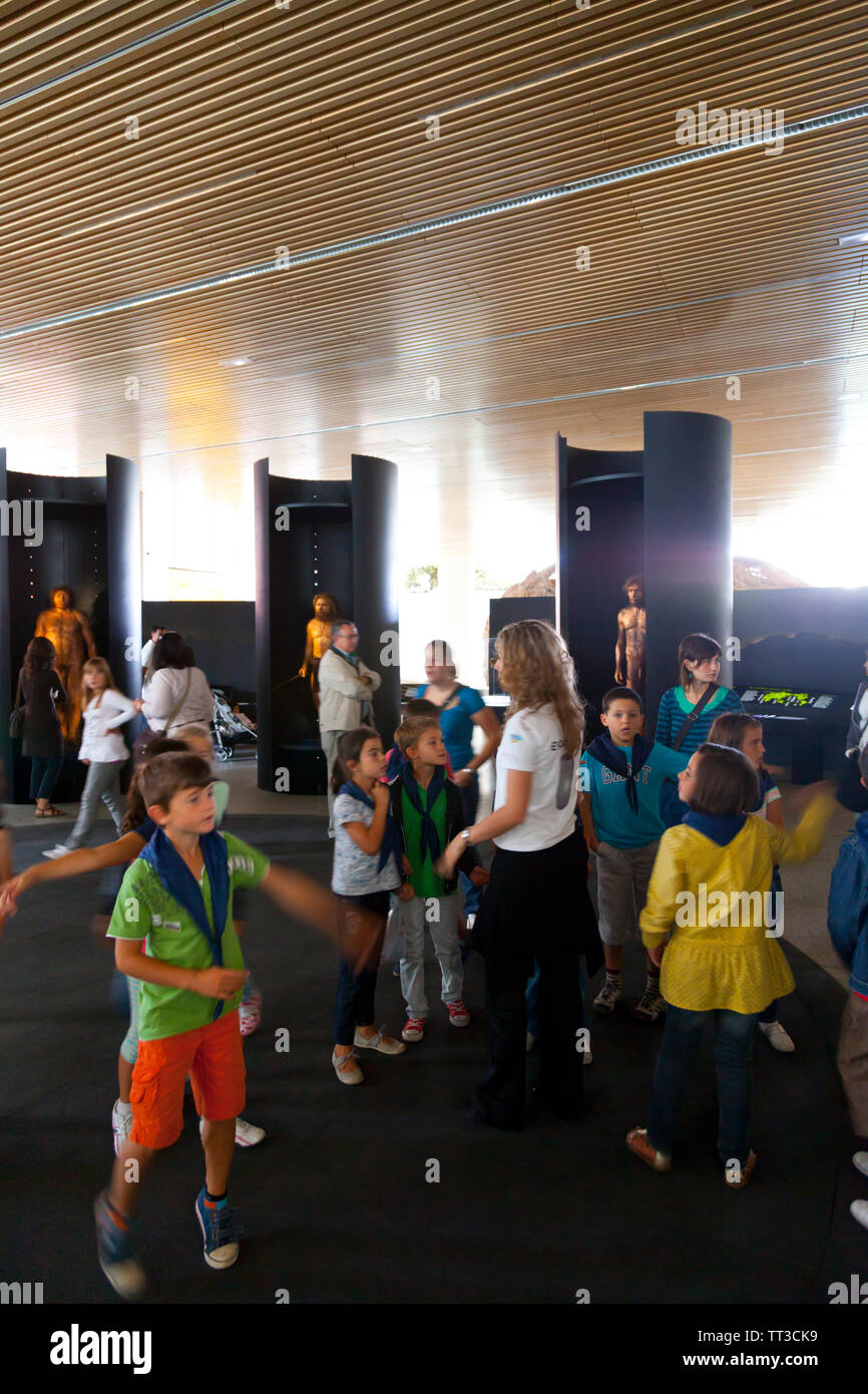Museo de la Evolución Humana, Burgos, Castilla y León, Spain. Human ...