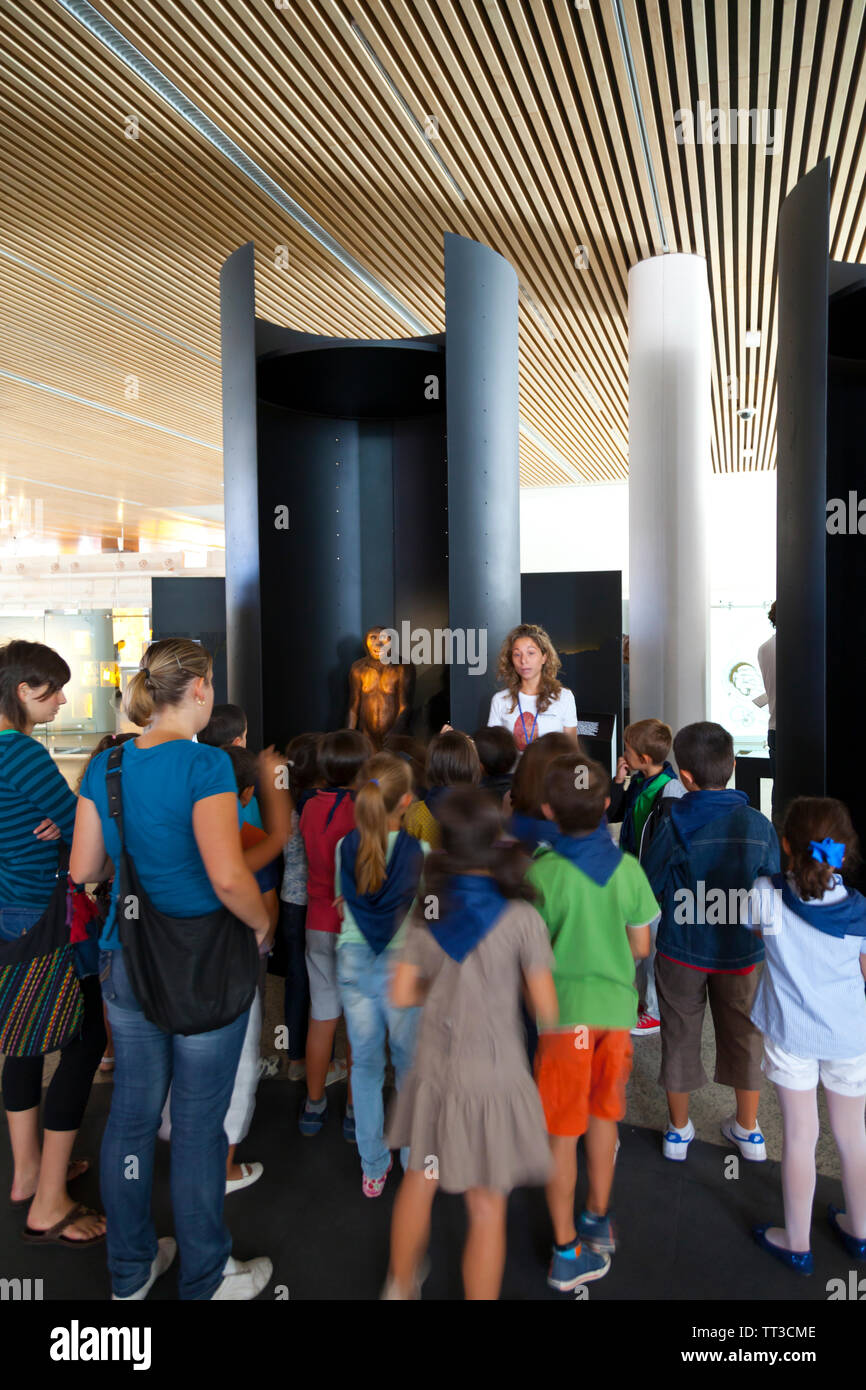 Museo de la Evolución Humana, Burgos, Castilla y León, Spain. Human ...