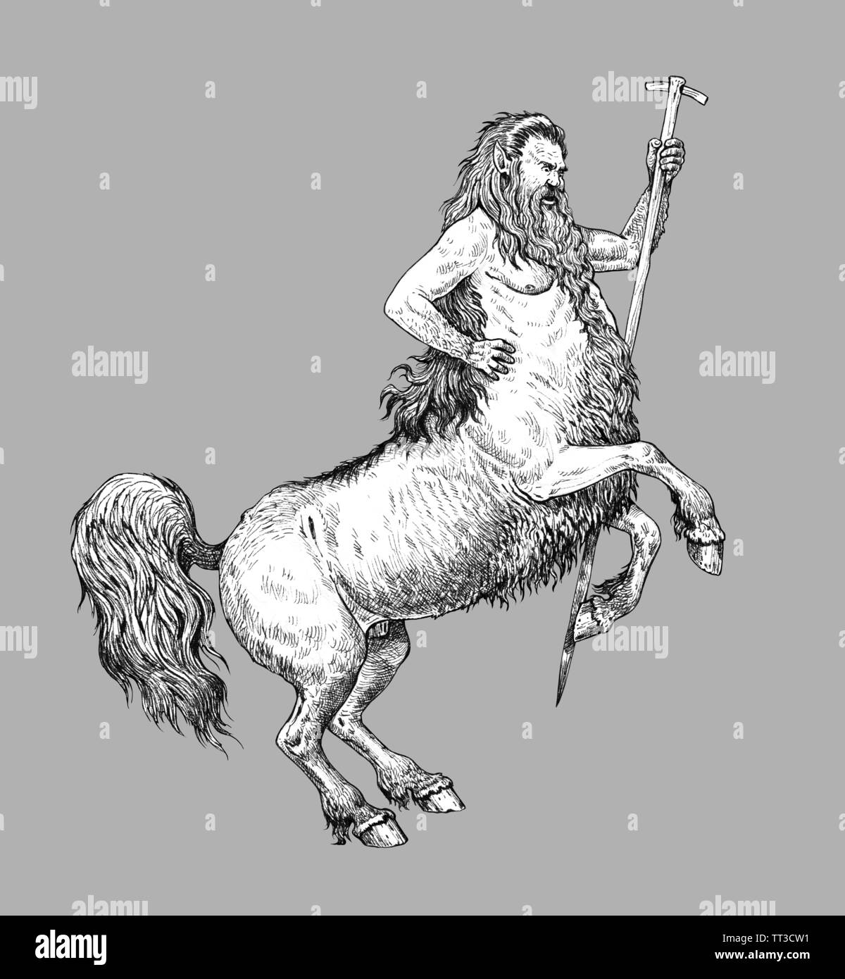 Centaurus anatomy . Monster illustration. Fantasy ink drawing Stock ...