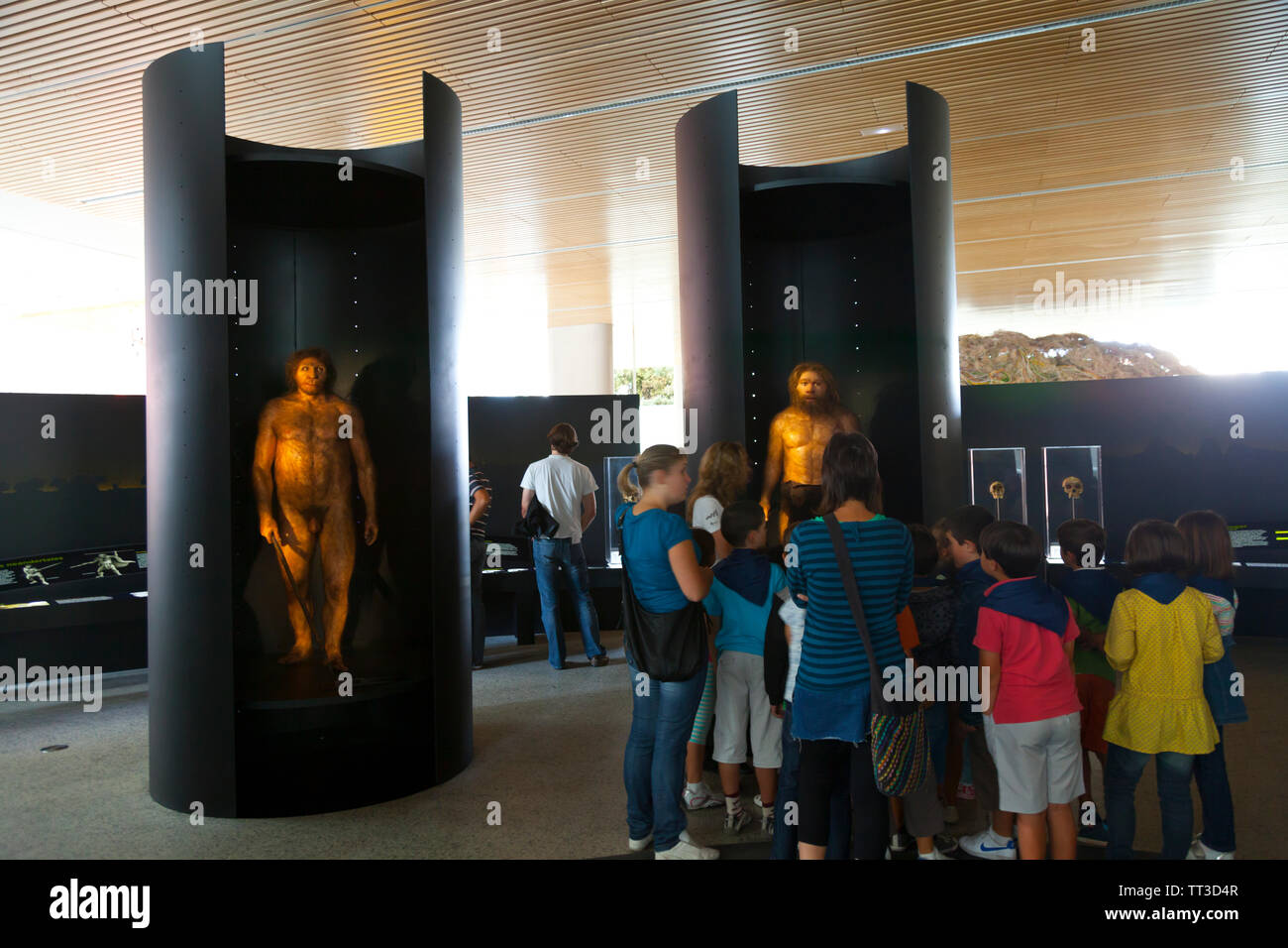 Museo de la Evolución Humana, Burgos, Castilla y León, Spain. Human ...