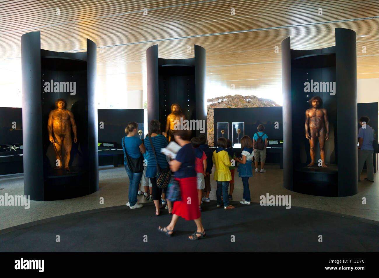 Museo de la Evolución Humana, Burgos, Castilla y León, Spain. Human ...