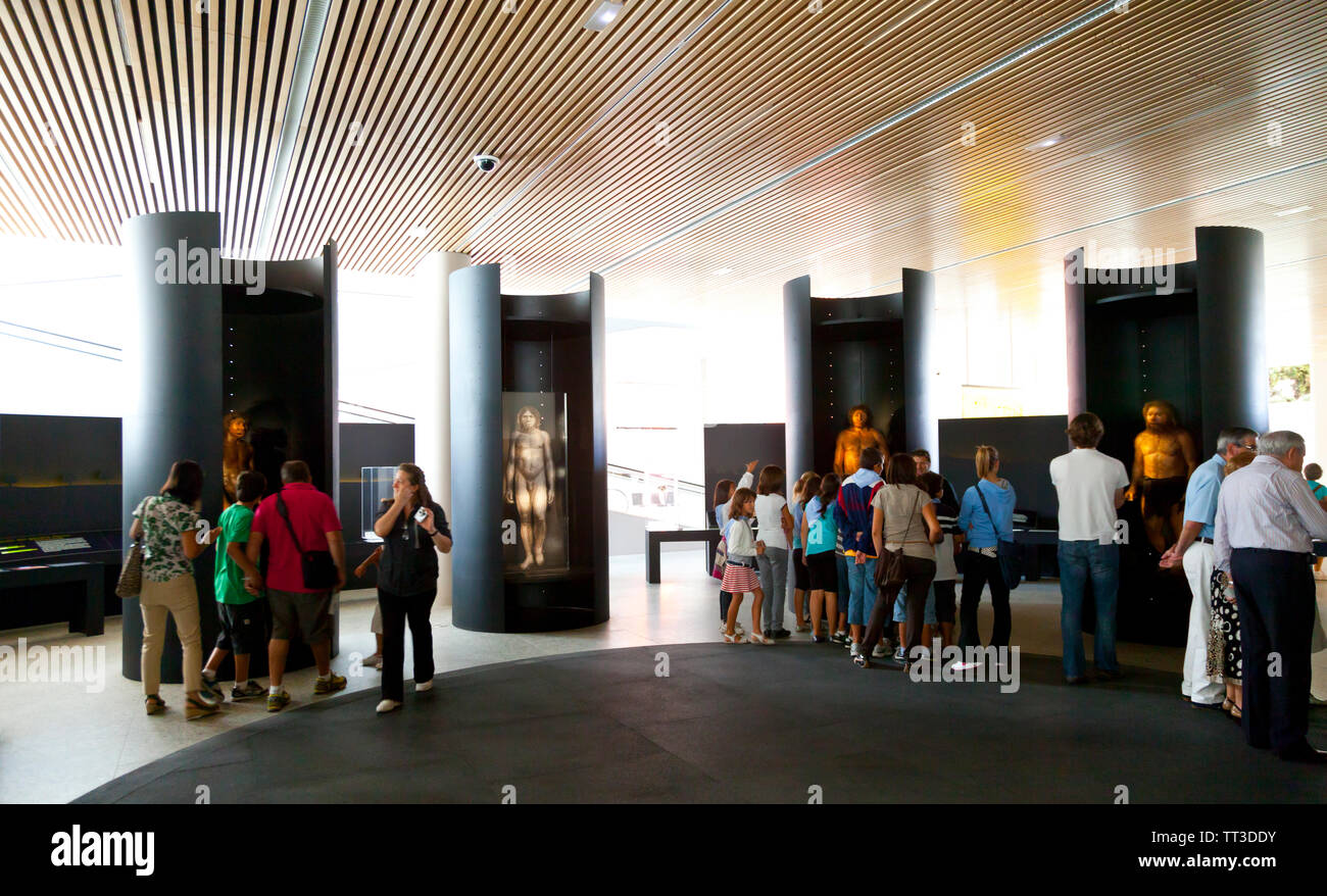Museo de la Evolución Humana, Burgos, Castilla y León, Spain. Human ...