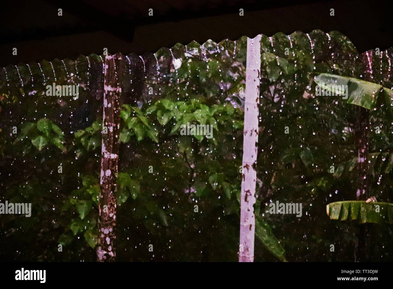 Water dripping from roof top on a rainy day Stock Photo - Alamy