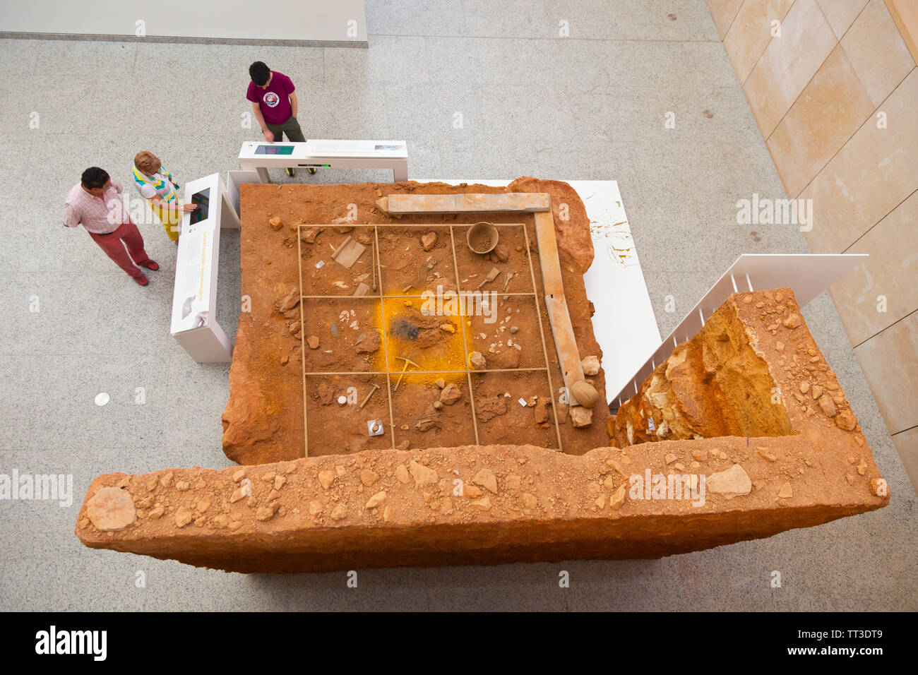 Museo de la Evolución Humana, Burgos, Castilla y León, Spain. Human ...