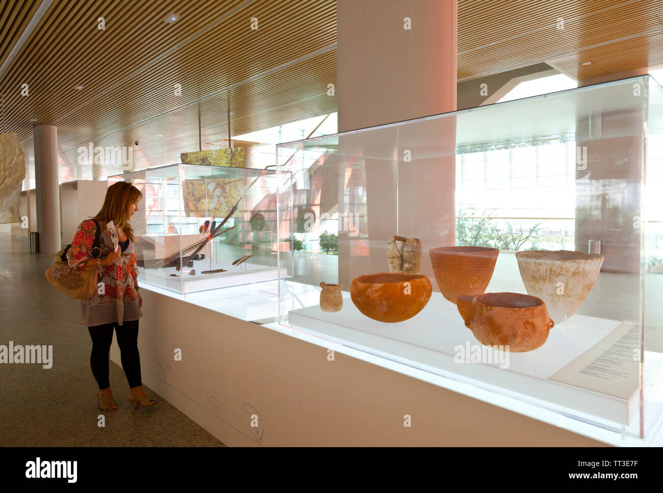 Museo de la Evolución Humana, Burgos, Castilla y León, Spain. Human ...