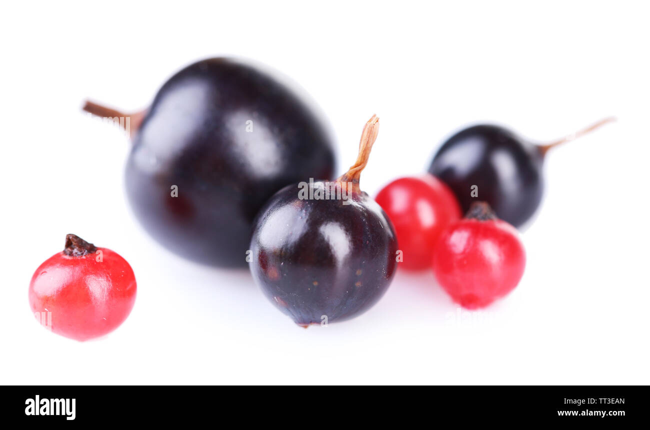 Black and red currants isolated on white Stock Photo - Alamy