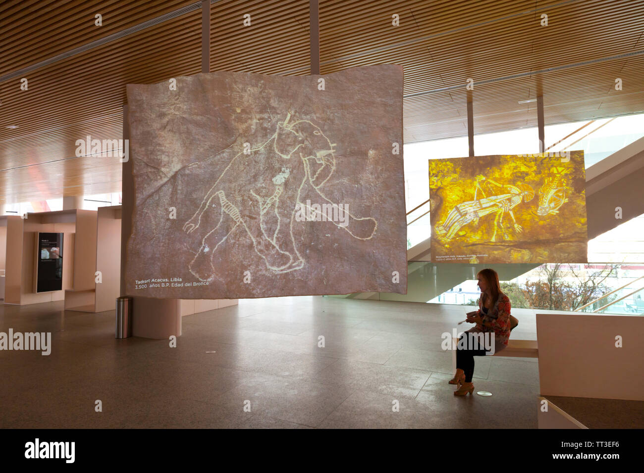Museo de la Evolución Humana, Burgos, Castilla y León, Spain. Human ...