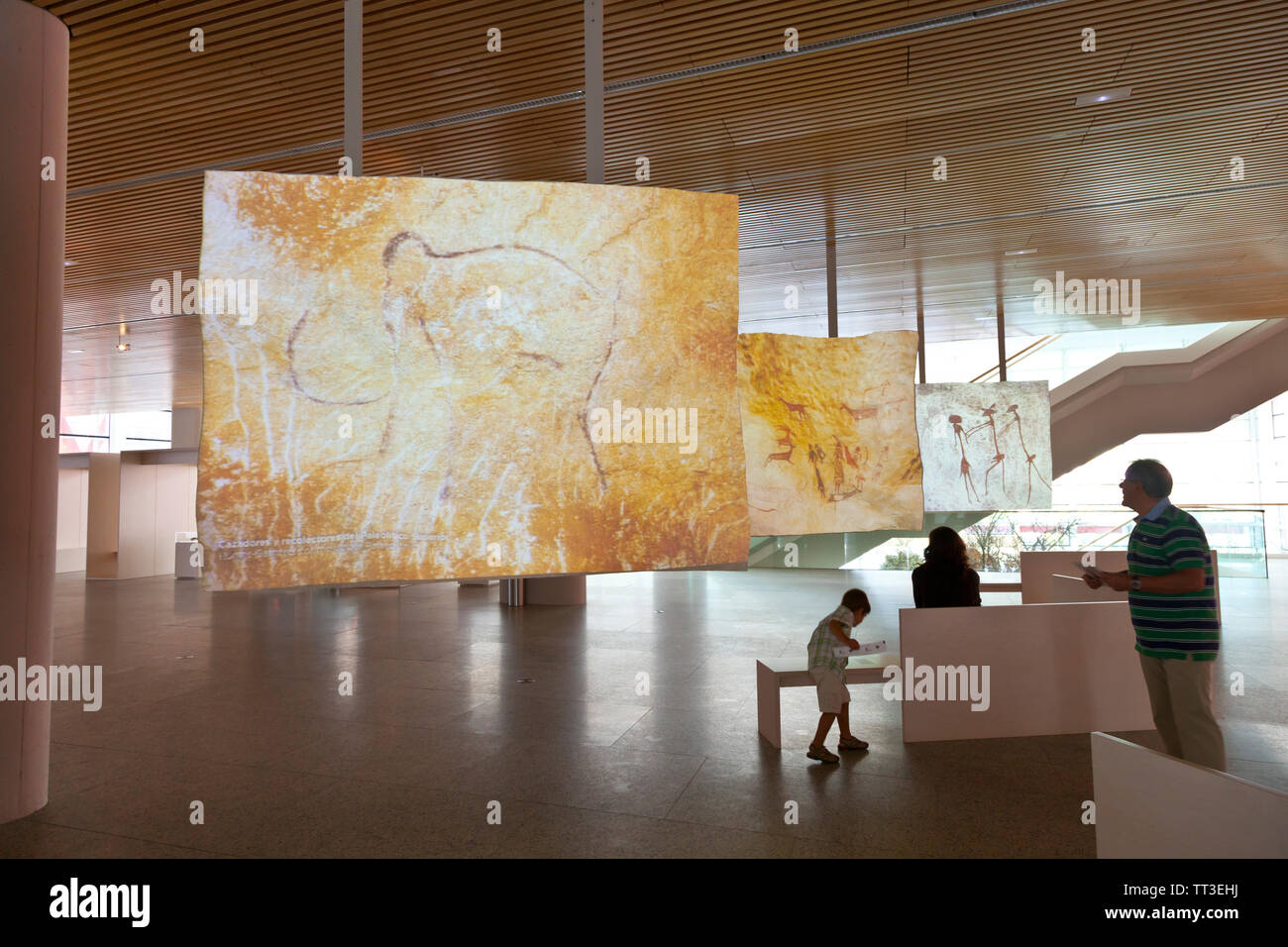 Museo de la Evolución Humana, Burgos, Castilla y León, Spain. Human ...
