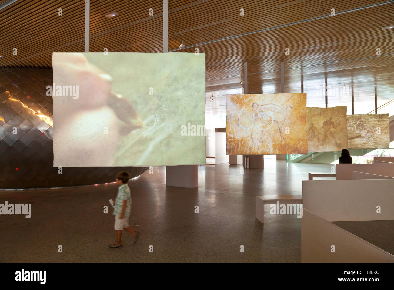 Museo de la Evolución Humana, Burgos, Castilla y León, Spain. Human ...